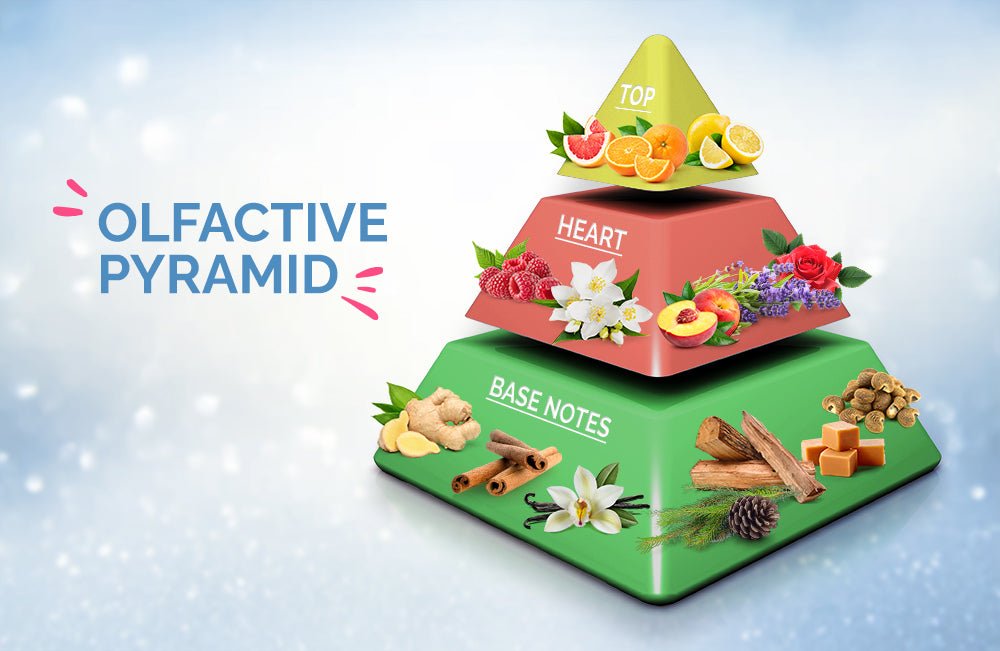 Deciphering Perfume Notes: Understanding the Perfume Olfactory Pyramid ...